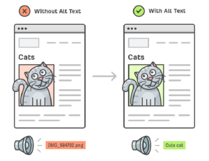 SEO Best Practice for Alt Text